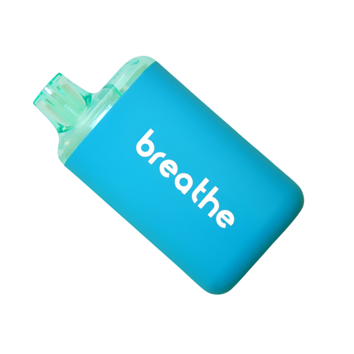 NEW MINT Breathe B12 Bar - 5000 Puff Diffuser