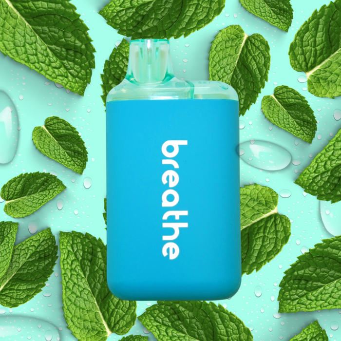 Mint Breathe B12 Bar - 5000 Puff Diffuser